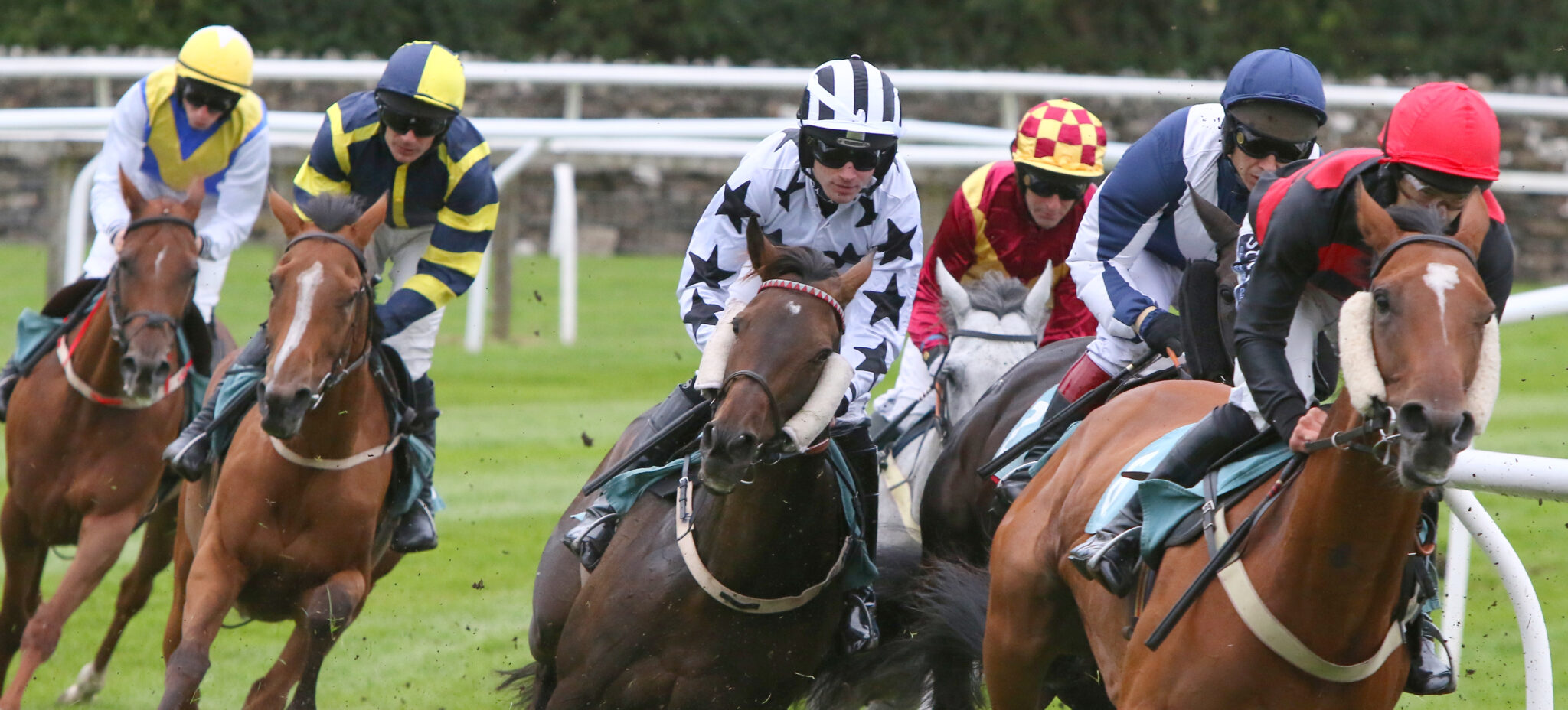 Cartmel Races 2025 - Holiday Cottages Cumbria