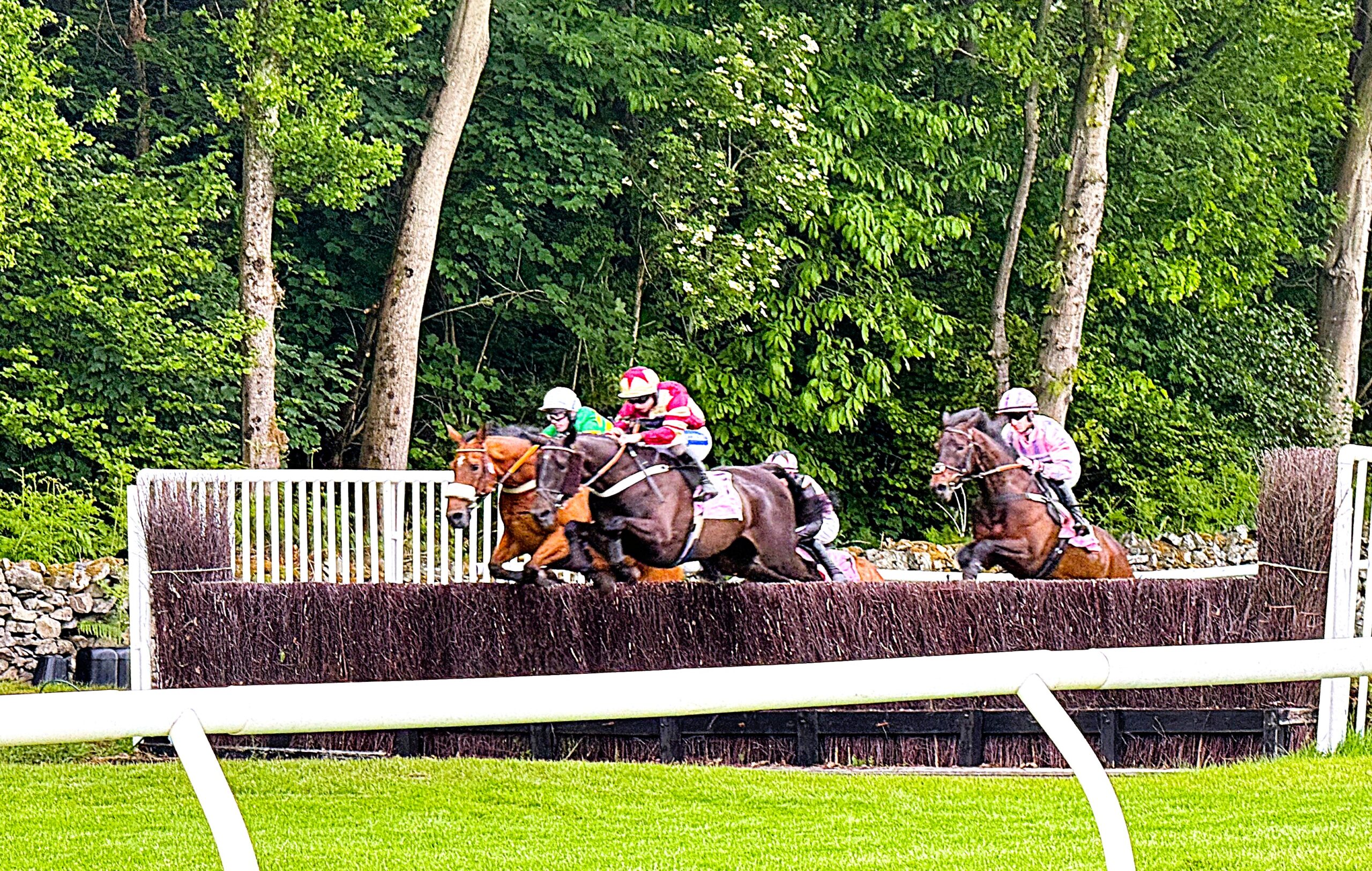 Cartmel Races - Holiday Cottages Cumbria